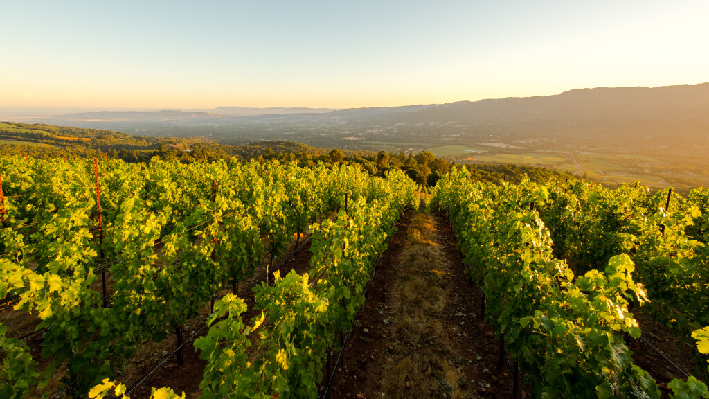 Lambert Bridge Winery - Healdsburg, CA