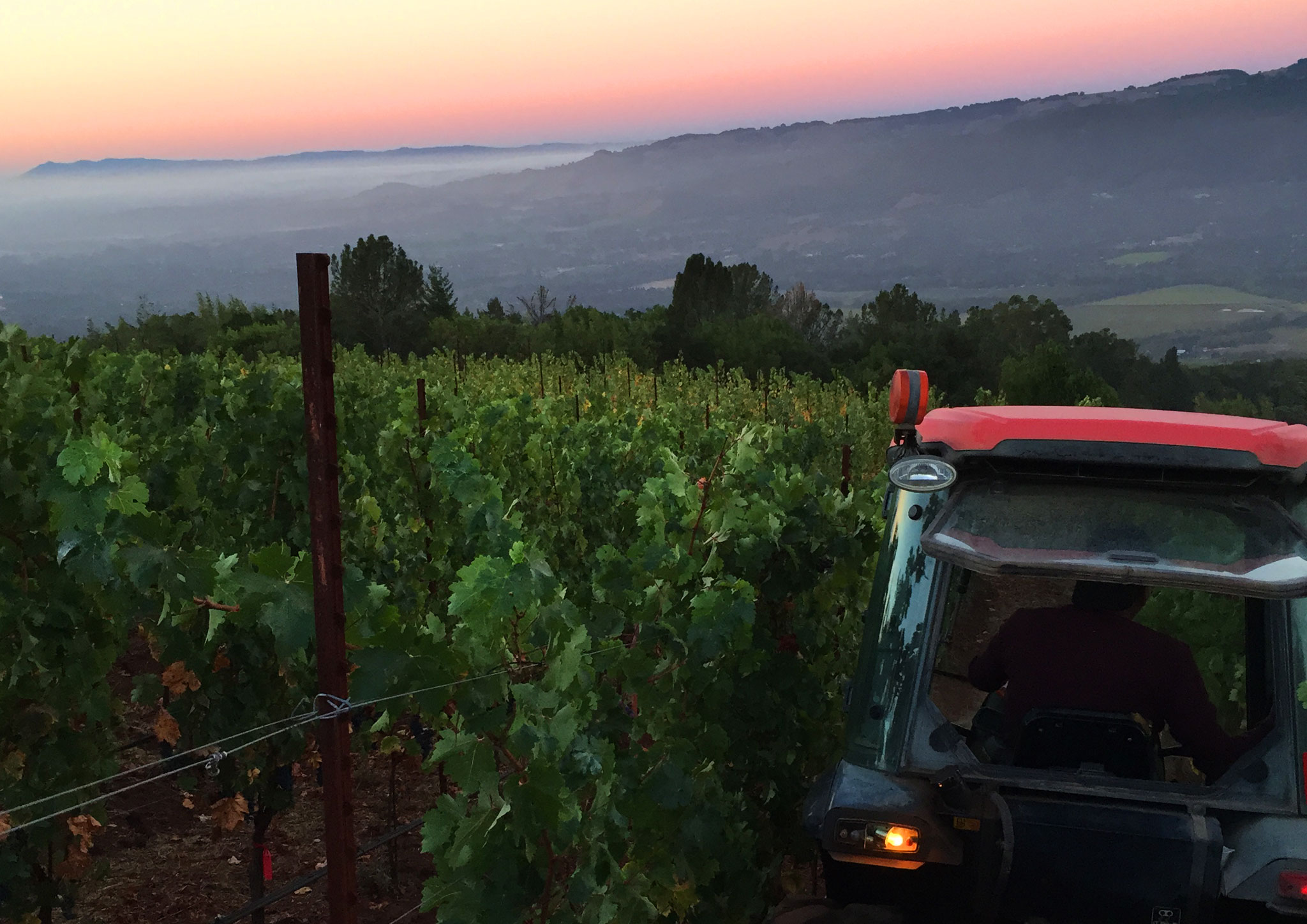 Lambert Bridge Winery - Dry Creek Valley - Healdsburg, CA