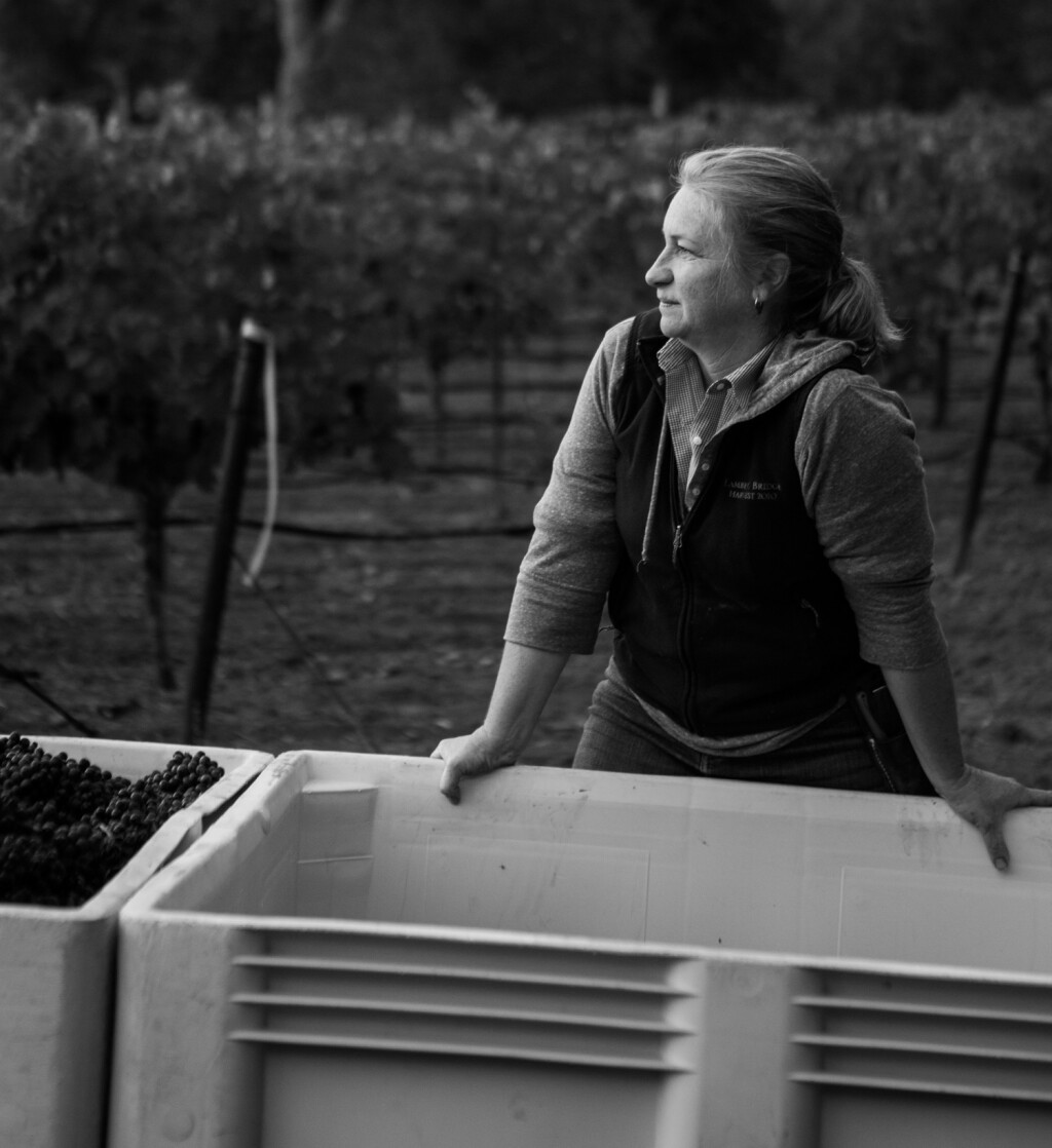 Lambert Bridge - Jennifer Higgins - Winemaker