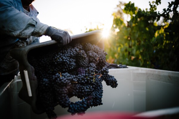 Lambert Bridge Winery - Healdsburg, CA